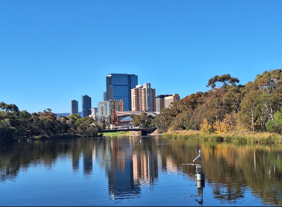 The Top Places for Coffee in Adelaide’s CBD That Rival Melbourne ...